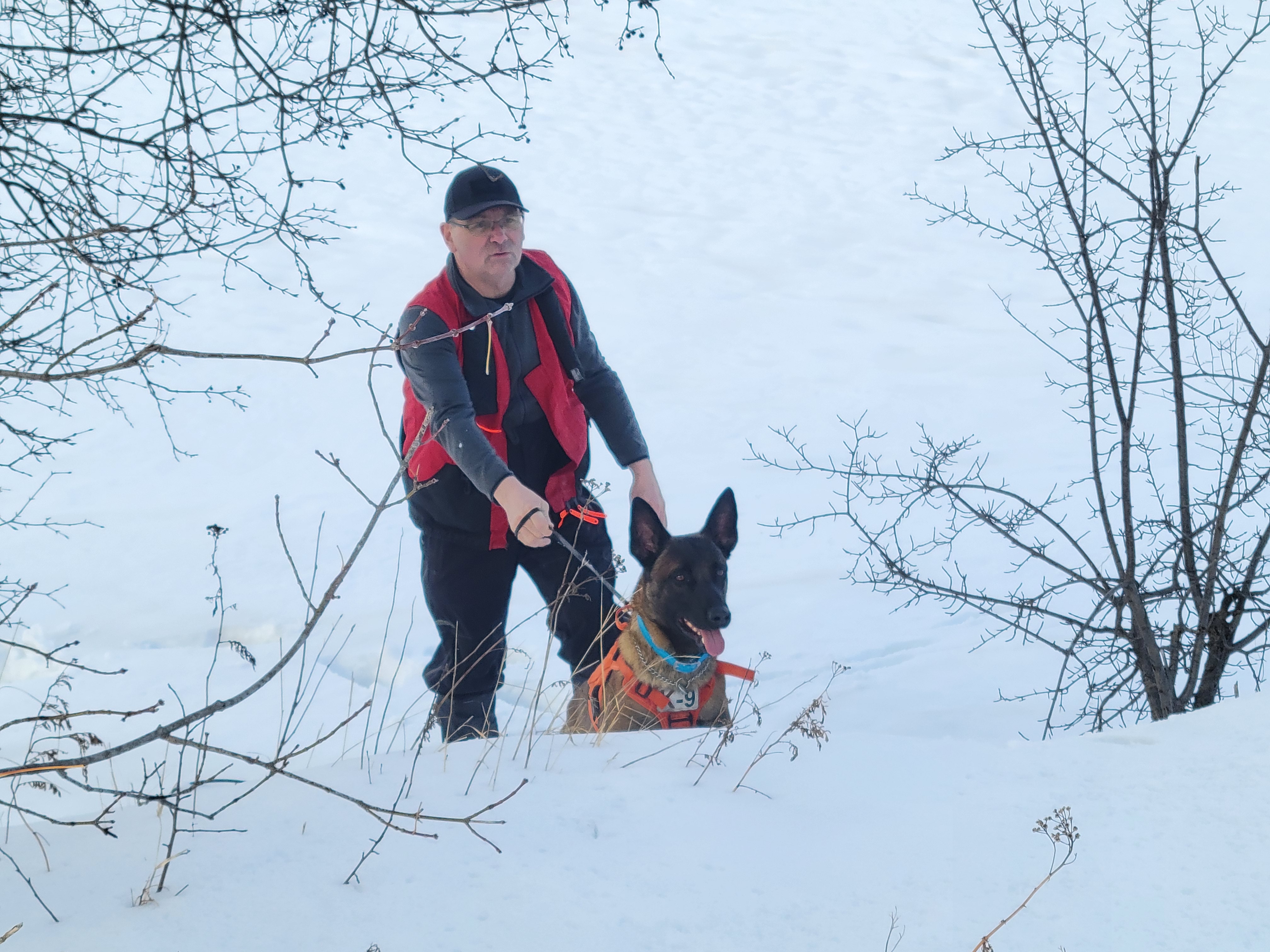 Recherches canines - MDIQ
